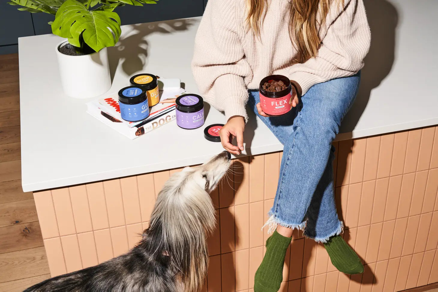 Wellness – Boho + Bark