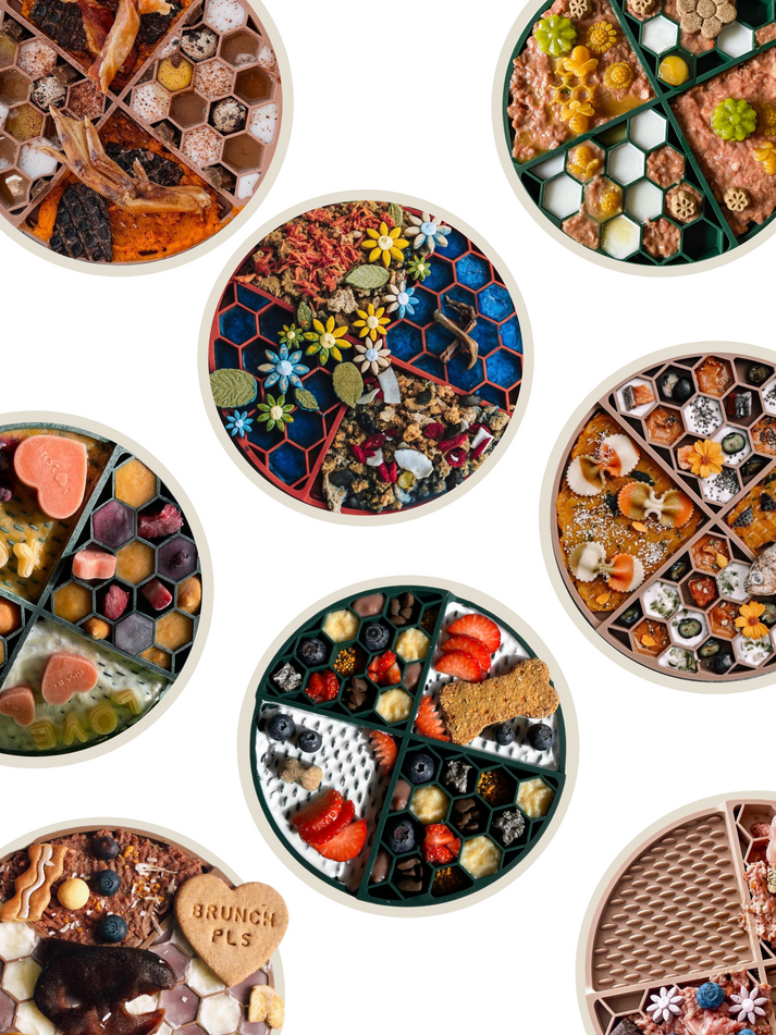 Dusty Blue Lick Mat – Boho + Bark